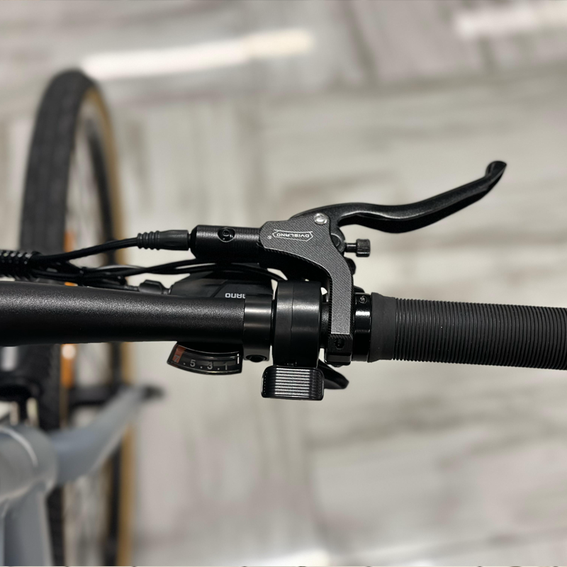 Freego E6 Electric City Bike | 500W, 36V 9Ah, 7-speed Shimano gears ...