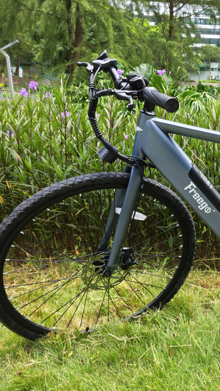 Freego® Europe Official Shop | Electric Bikes & Motorcycles