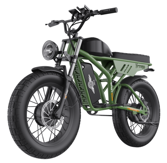 Freego® Europe Official Shop | Electric Bikes & Motorcycles