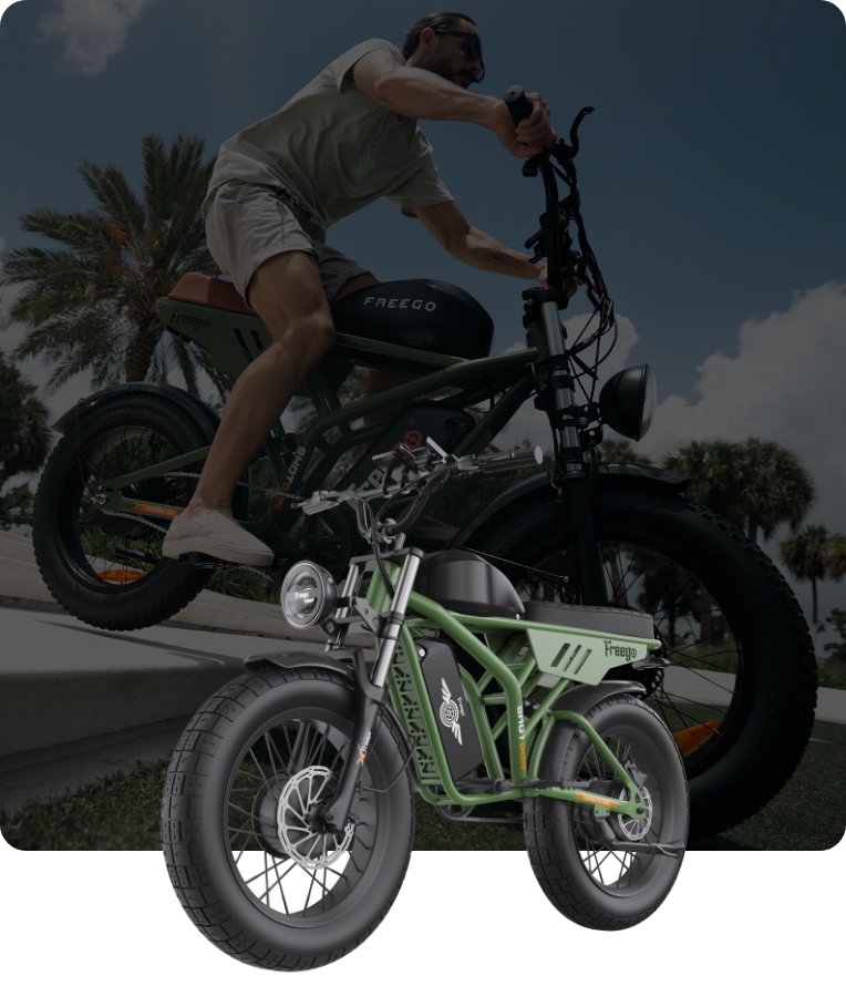 Freego® Europe Official Shop | Electric Bikes & Motorcycles