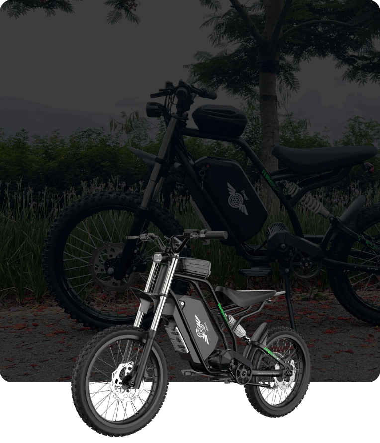 Freego® EU Official Shop | Electric Bikes & Motorcycles – FreeGo EU ...